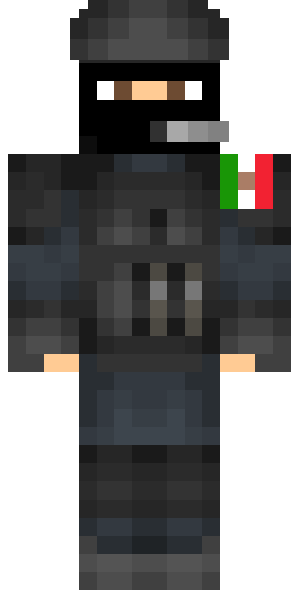case / Minecraft Skin Database