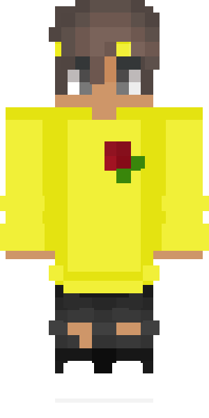 brazil / Minecraft Skin Database